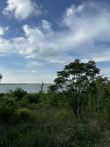 Best Lake Trails in Cedar Hill State Park | AllTrails