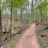 Homestead Trail, Georgia - 3,141 Reviews, Map | AllTrails