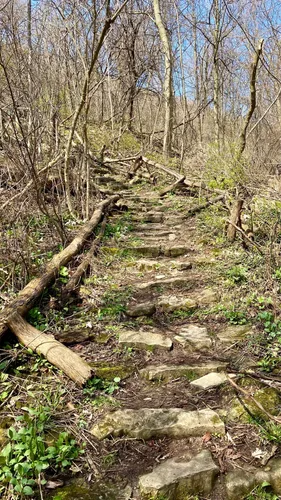 Best Walking Trails in Hamilton Conservation Authority | AllTrails