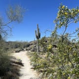 Pima Wash Trail to West Loop, Arizona - 2,173 Reviews, Map | AllTrails