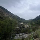Henninger Flats Trail, California - 2,806 Reviews, Map | AllTrails
