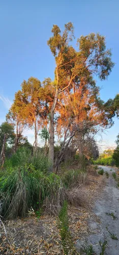 Best Lake Trails in Rockingham Lakes Regional Park | AllTrails