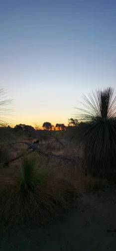 Best Lake Trails in Rockingham Lakes Regional Park | AllTrails