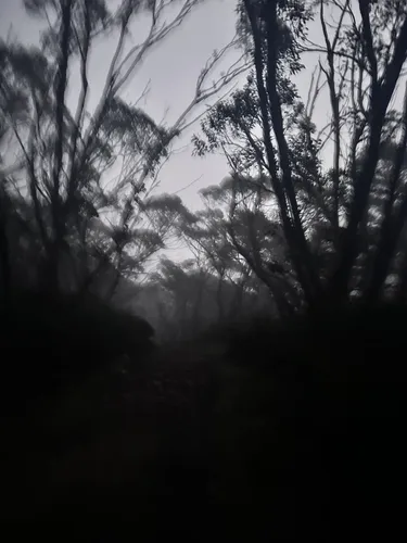 Best Hikes and Trails in Baw Baw Plateau Remote and Natural Area ...