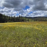 East Ridge and Cronan Ranch Loop, California - 1,036 Reviews, Map ...