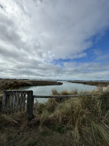 Best Beach Trails in Bottle Lake Forest Park | AllTrails