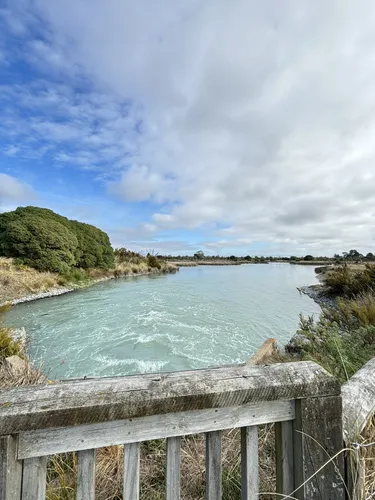 Best Beach Trails in Bottle Lake Forest Park | AllTrails