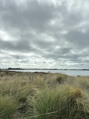 Best Beach Trails in Bottle Lake Forest Park | AllTrails