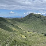 Gerbode Valley Loop, California - 529 Reviews, Map | AllTrails