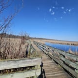 Tobico Marsh Trail, Michigan - 648 Reviews, Map | AllTrails