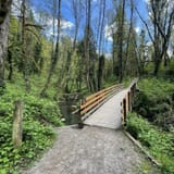 Tryon Creek Triple Bridge Loop, Oregon - 1,506 Reviews, Map | AllTrails