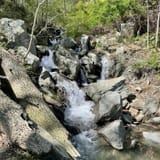 Turkey Run Potomac Heritage Trail, Virginia - 1,389 Reviews, Map ...