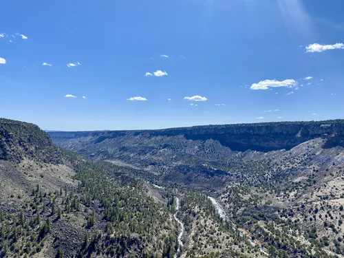 Best River Trails in Wild Rivers Recreation Area | AllTrails