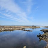 Tobico Marsh Trail, Michigan - 648 Reviews, Map | AllTrails