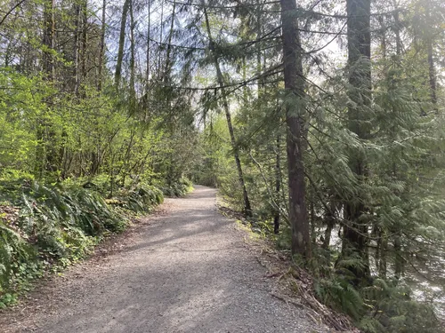 Coquitlam River Park: de beste routes om te wandelen | AllTrails