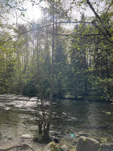 Coquitlam River Park: de beste routes om te wandelen | AllTrails