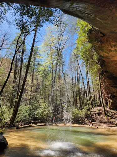 Best River Trails in Clifty Wilderness | AllTrails