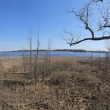 Tobico Marsh Trail, Michigan - 648 Reviews, Map | AllTrails
