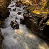 Boulder River Trail, Washington - 1,751 Reviews, Map | AllTrails