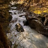 Boulder River Trail, Washington - 1,751 Reviews, Map | AllTrails