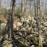 Reeves Brook Loop Trail, New York - 4,593 Reviews, Map | AllTrails