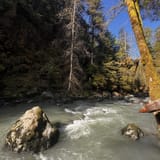 Boulder River Trail, Washington - 1,751 Reviews, Map | AllTrails