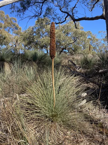 Best Walking Trails in Spring Gully Conservation Park | AllTrails