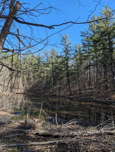 Best Hikes and Trails in Gaylord | AllTrails