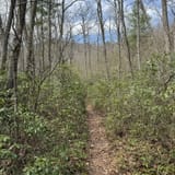 Riprap Trail , Virginia - 1,534 Reviews, Map | AllTrails