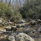 Riprap Trail , Virginia - 1,534 Reviews, Map | AllTrails