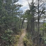 Riprap Trail , Virginia - 1,534 Reviews, Map | AllTrails