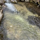Riprap Trail , Virginia - 1,534 Reviews, Map | AllTrails