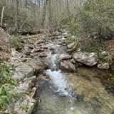 Riprap Trail , Virginia - 1,534 Reviews, Map | AllTrails