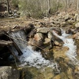 Riprap Trail , Virginia - 1,539 Reviews, Map | AllTrails