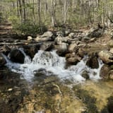 Riprap Trail , Virginia - 1,539 Reviews, Map | AllTrails