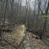 Riprap Trail , Virginia - 1,539 Reviews, Map | AllTrails
