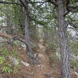 Riprap Trail , Virginia - 1,539 Reviews, Map | AllTrails