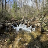 Riprap Trail , Virginia - 1,539 Reviews, Map | AllTrails