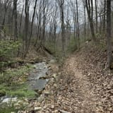 Riprap Trail , Virginia - 1,546 Reviews, Map | AllTrails