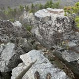 Riprap Trail , Virginia - 1,560 Reviews, Map | AllTrails