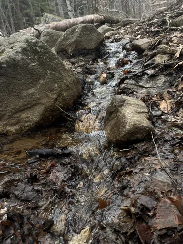 Best Views Trails in Shaker Mountain Wild Forest | AllTrails