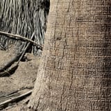 Victor Loop, California - 1,522 Reviews, Map | AllTrails