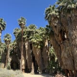 Victor Loop, California - 1,571 Reviews, Map | AllTrails