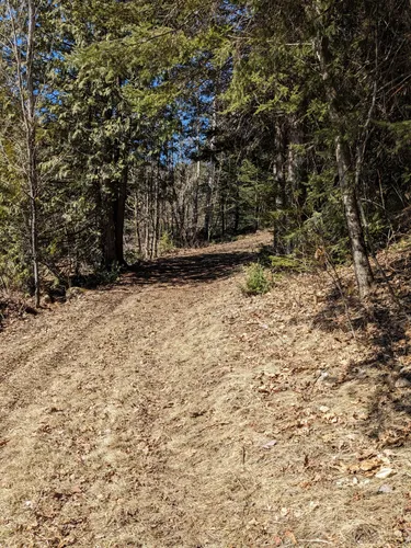 Best Short Trails in Montagnes Noires de Ripon Park | AllTrails