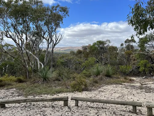 Best Walking Trails in Aldinga Conservation Park | AllTrails