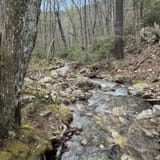 Riprap Trail , Virginia - 1,539 Reviews, Map | AllTrails