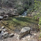 Riprap Trail , Virginia - 1,539 Reviews, Map | AllTrails