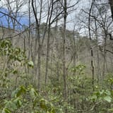 Riprap Trail , Virginia - 1,560 Reviews, Map | AllTrails