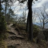 Riprap Trail , Virginia - 1,539 Reviews, Map | AllTrails