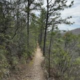 Riprap Trail , Virginia - 1,539 Reviews, Map | AllTrails
